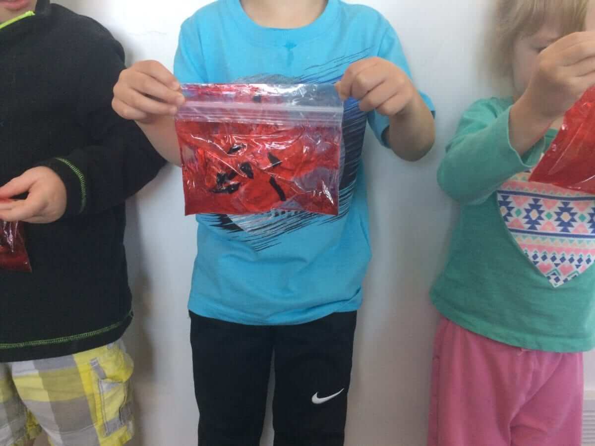 DIY Watermelon Sun Catcher - Lou Lou Girls