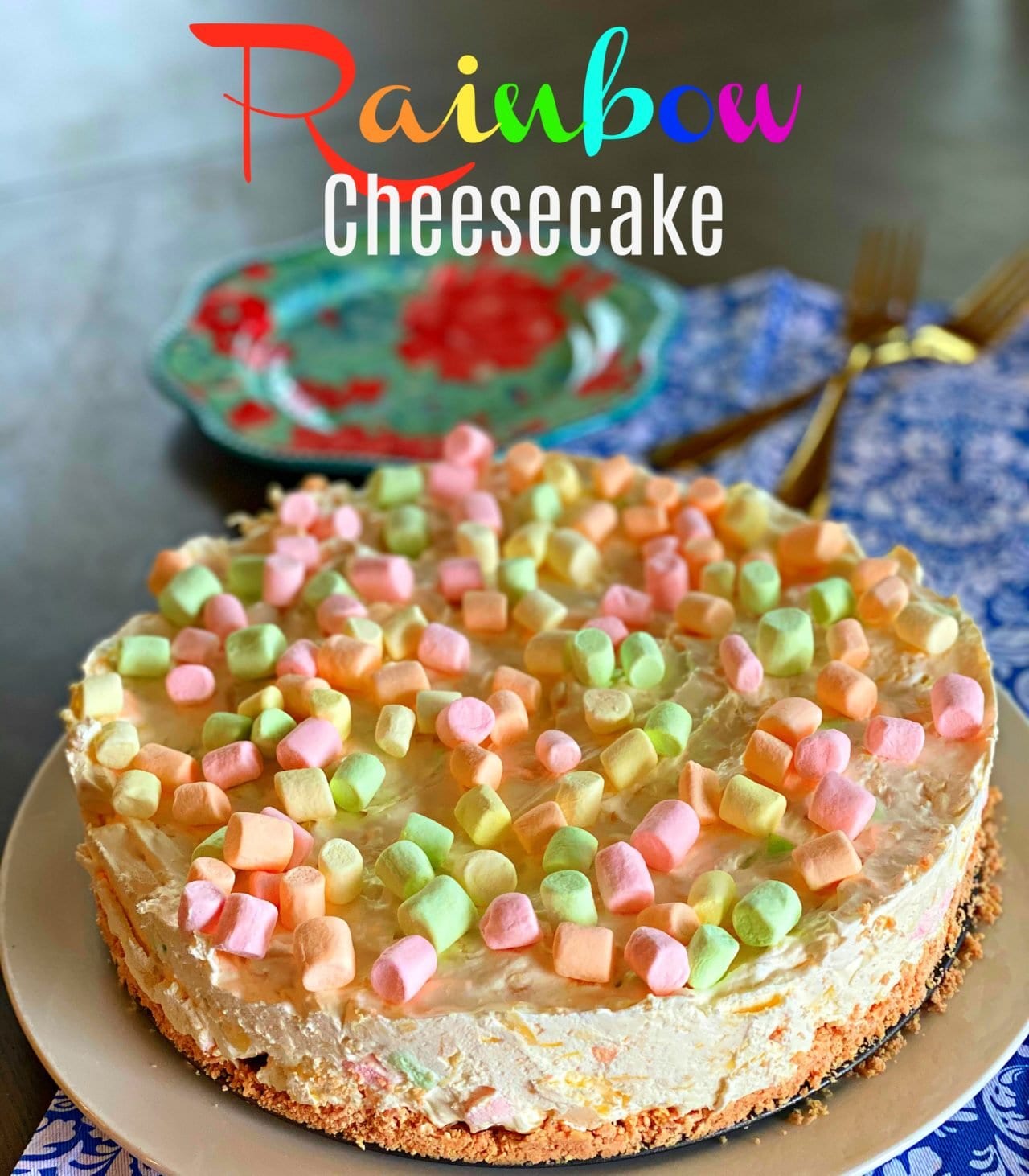 Fun Rainbow Cheesecake - Lou Lou Girls
