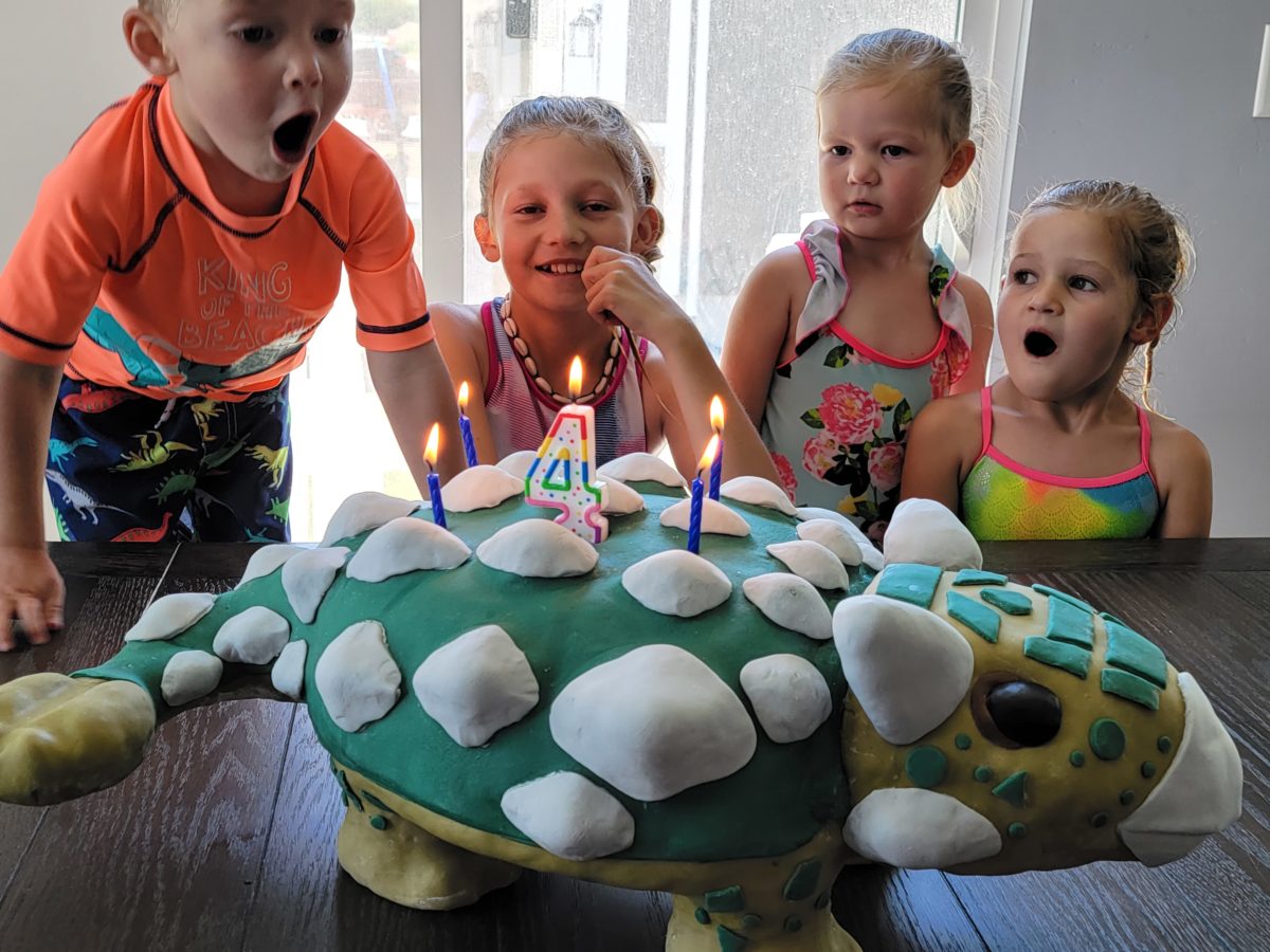 Cool Ankylosaurus Cake - Lou Lou Girls
