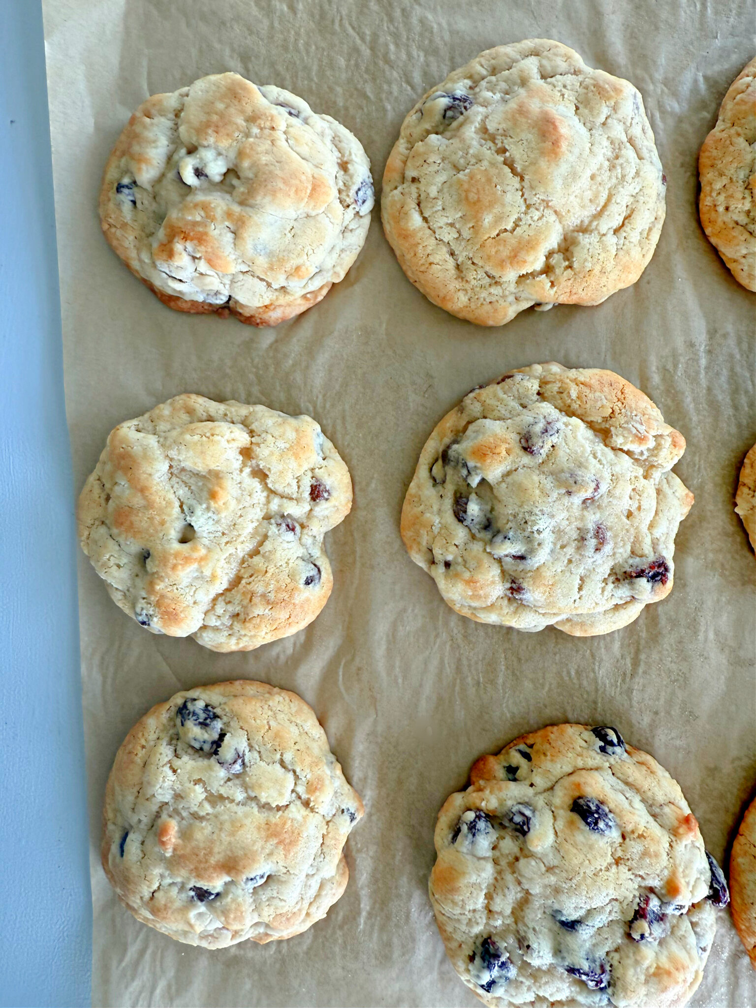 Raisin Cookies - Lou Lou Girls