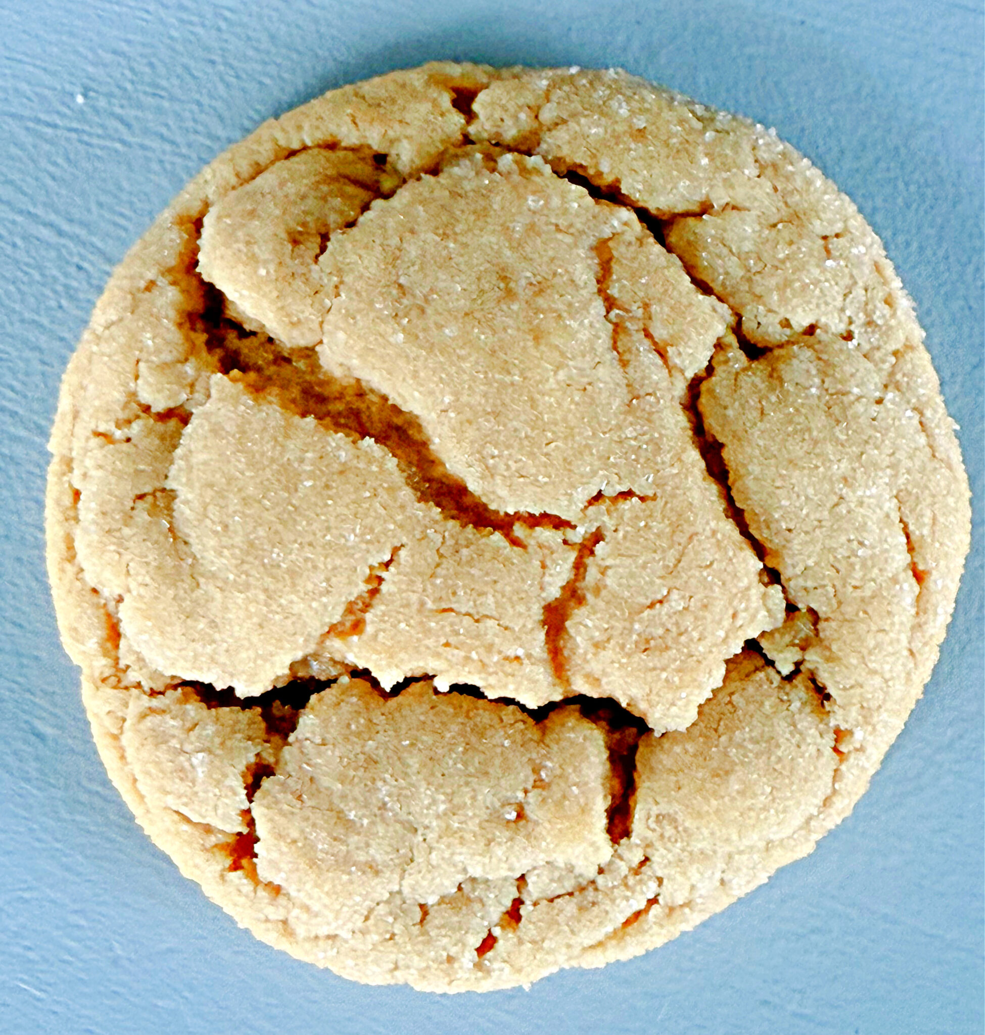 Soft and Chewy Peanut Butter Cookies - Lou Lou Girls